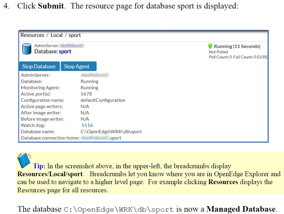 Trying to connect to running db in progress explorer - OpenEdge ...